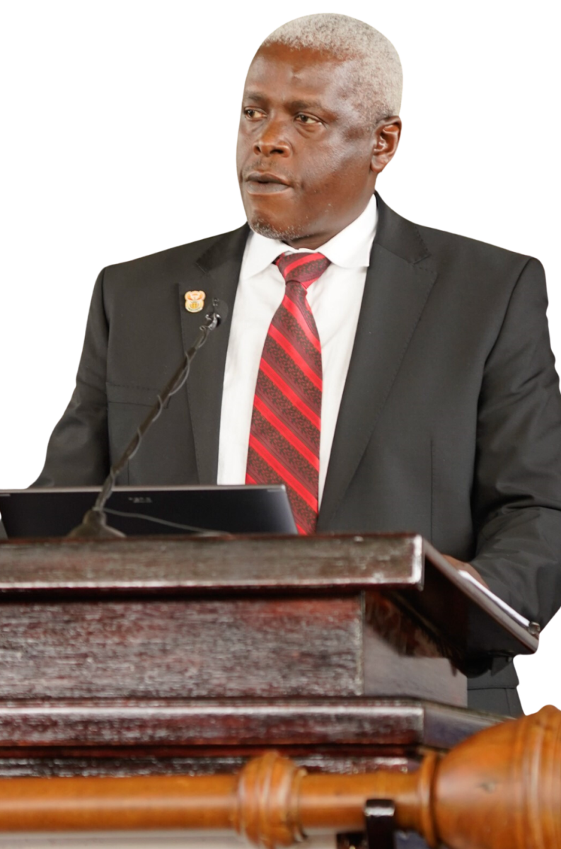 Free State Legislature – Free State Government | Legislature ...